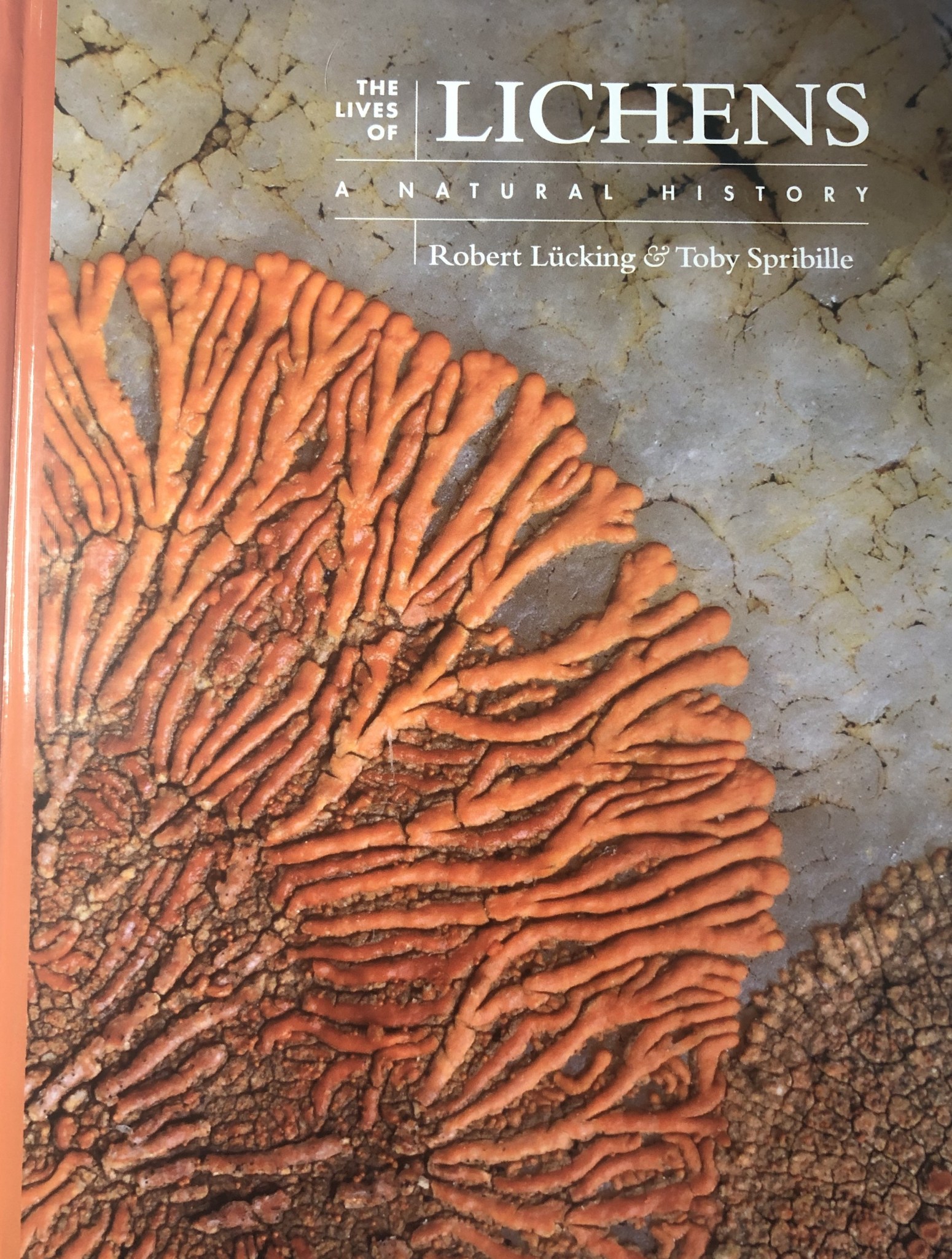 Book review: The Lives of Lichens: A Natural History by Lucking ...